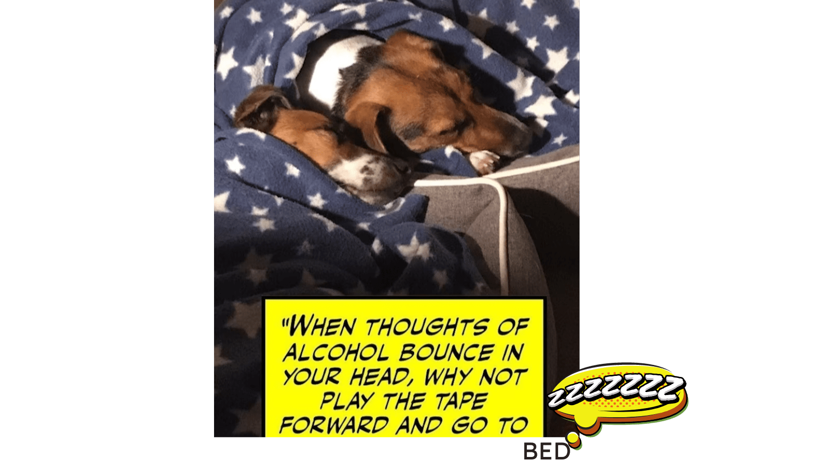 Russ and Trev's Guide to a Sober September